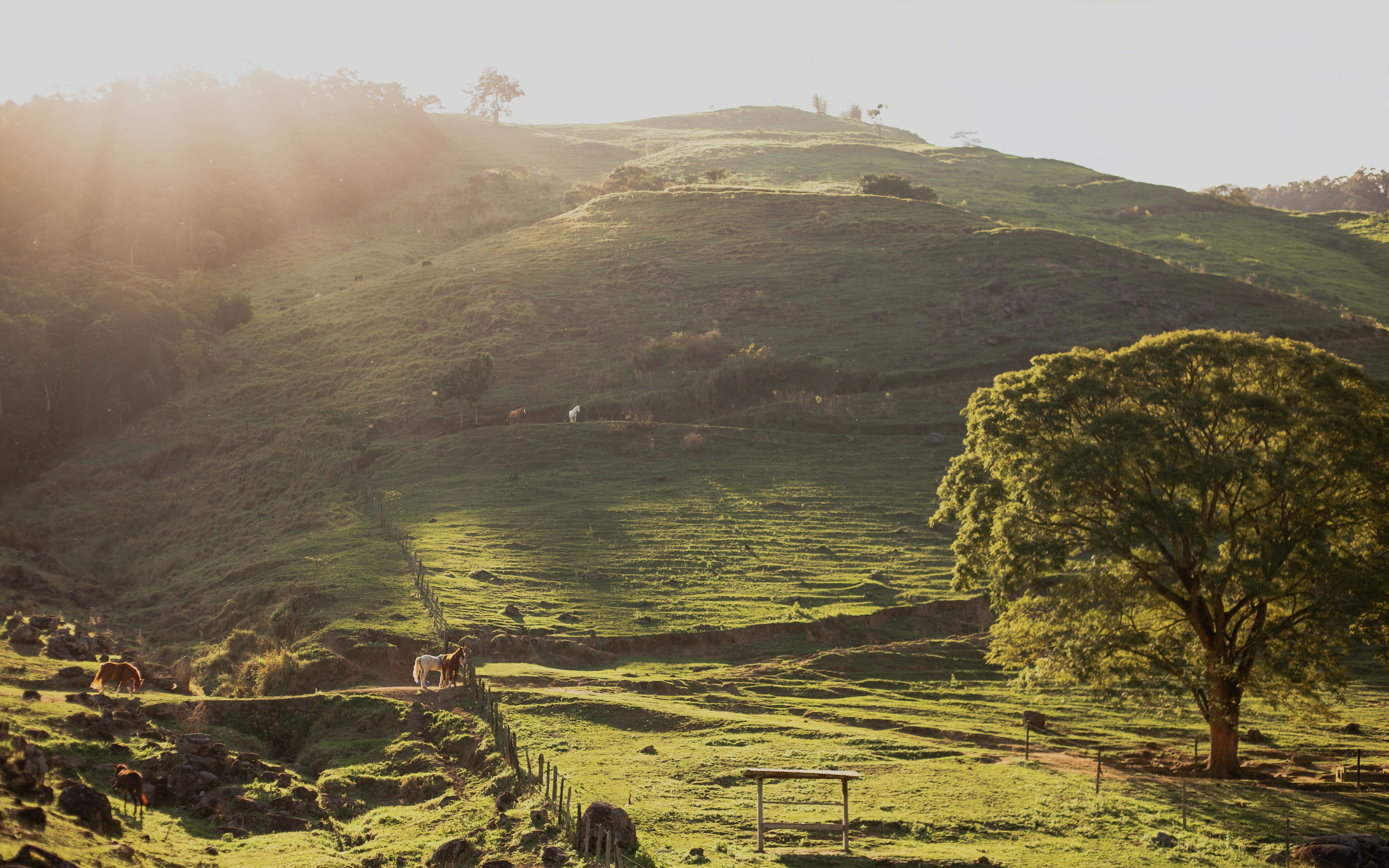 Contact Us – Armour Group Small Farm Stores Australia